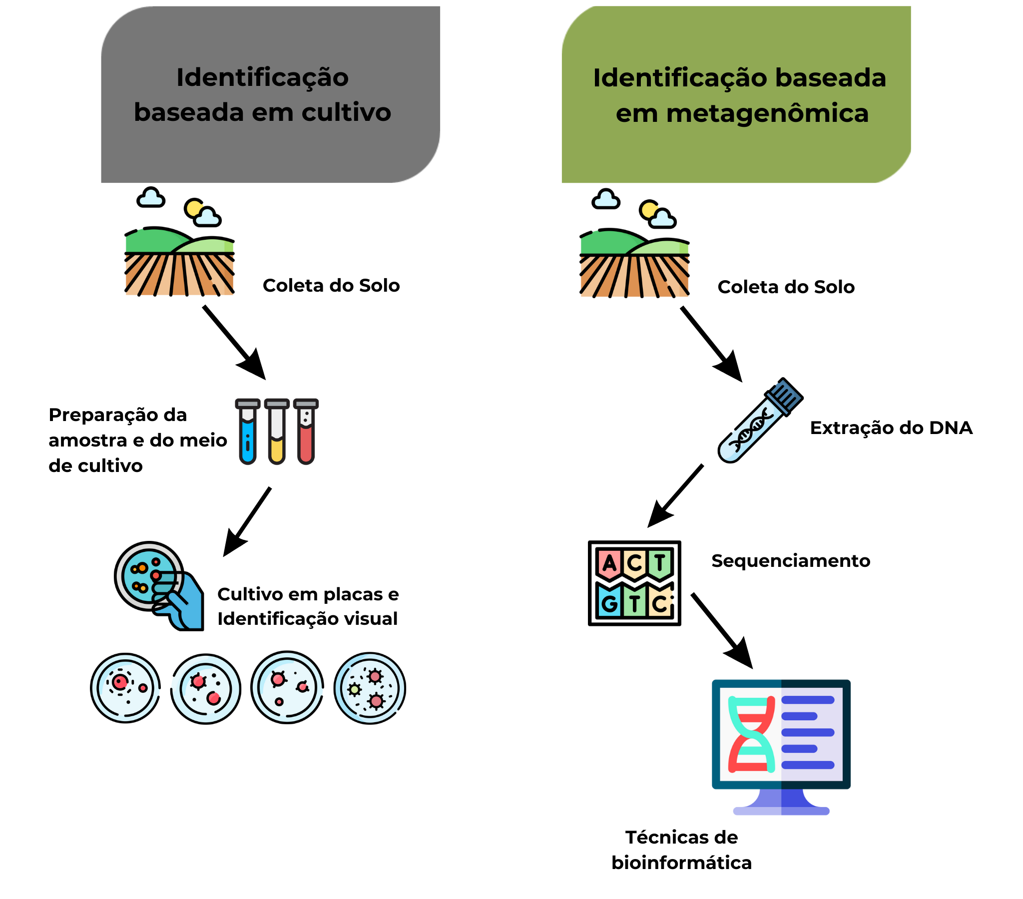 Por que usar metagenômica para avaliar a microbiologia do solo? - B4A