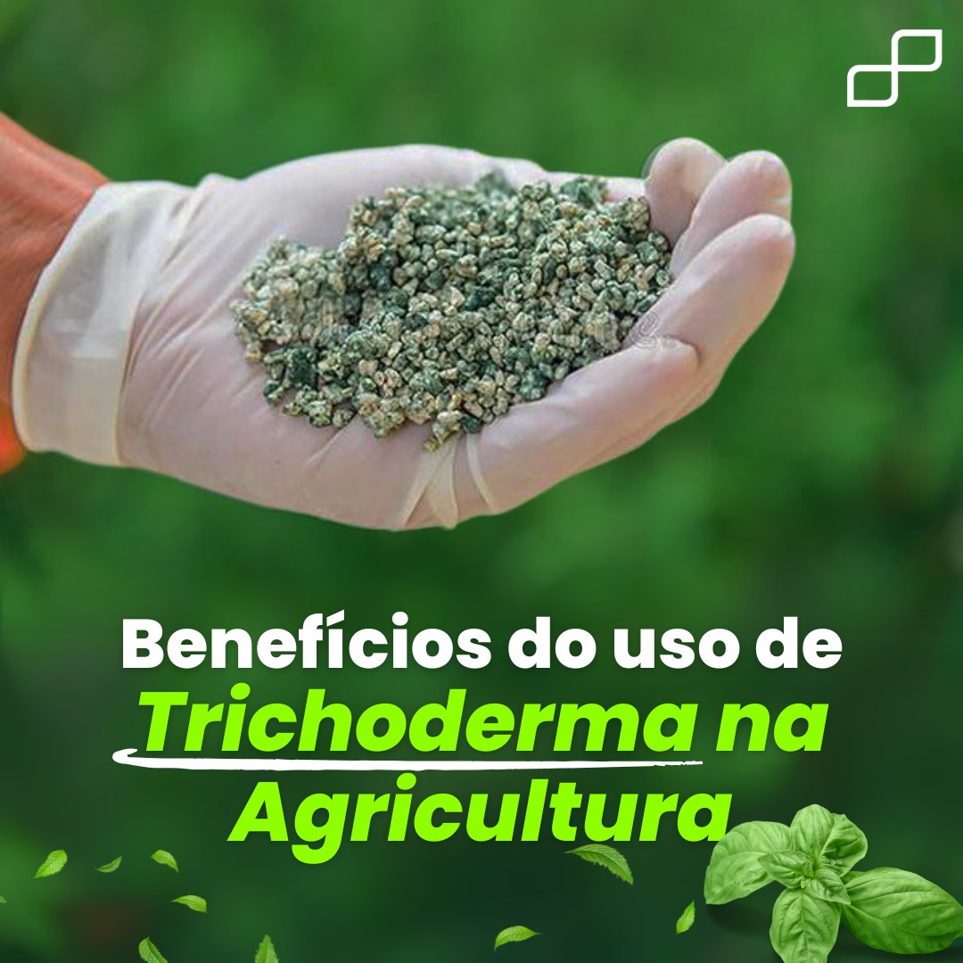 Benefícios do uso de Trichoderma na Agricultura - Biome4all agora é B4A