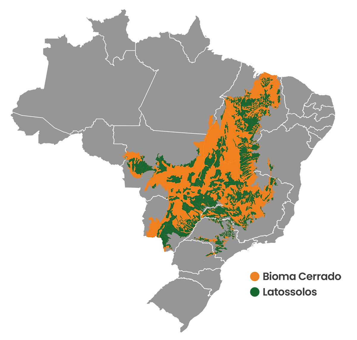 AGRO BIOMA BRASIL CERRADO - B4A